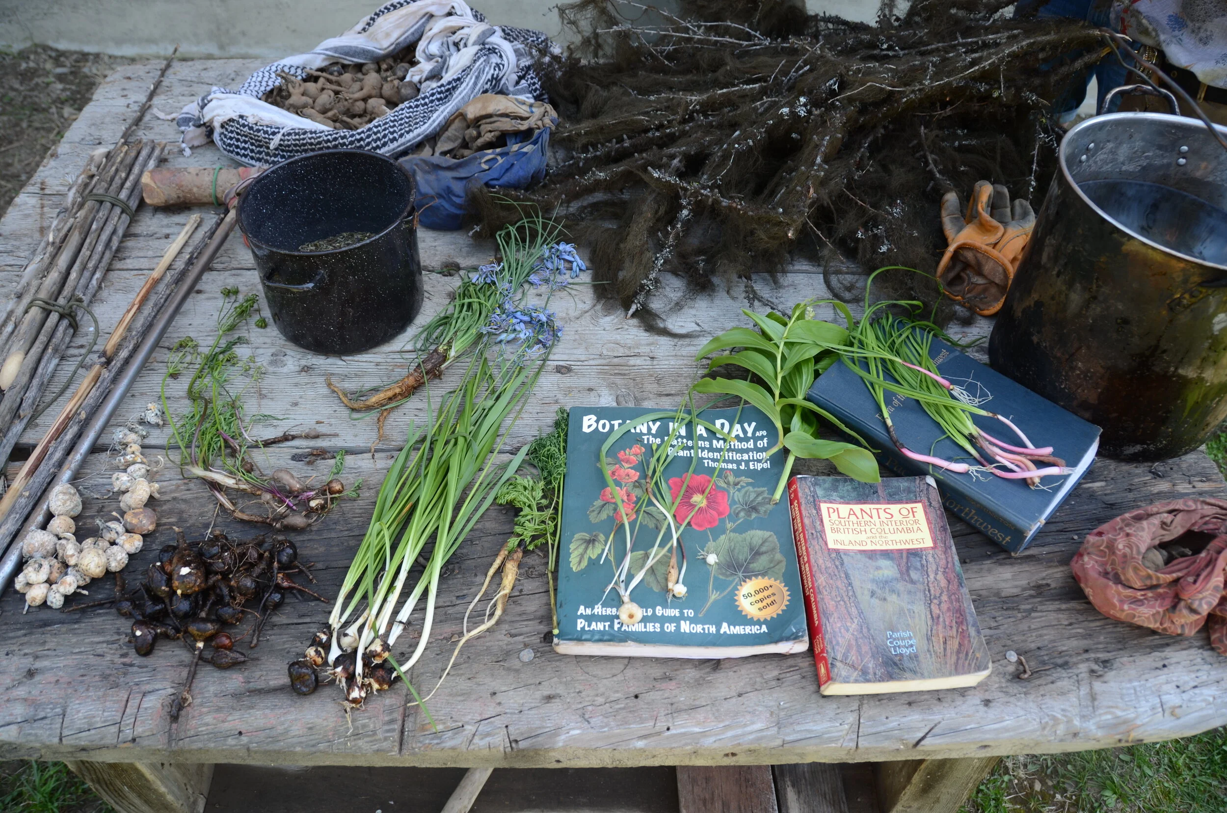 Foraging, Survival, Living Off the Land — HUMAN NATURE HUNTING