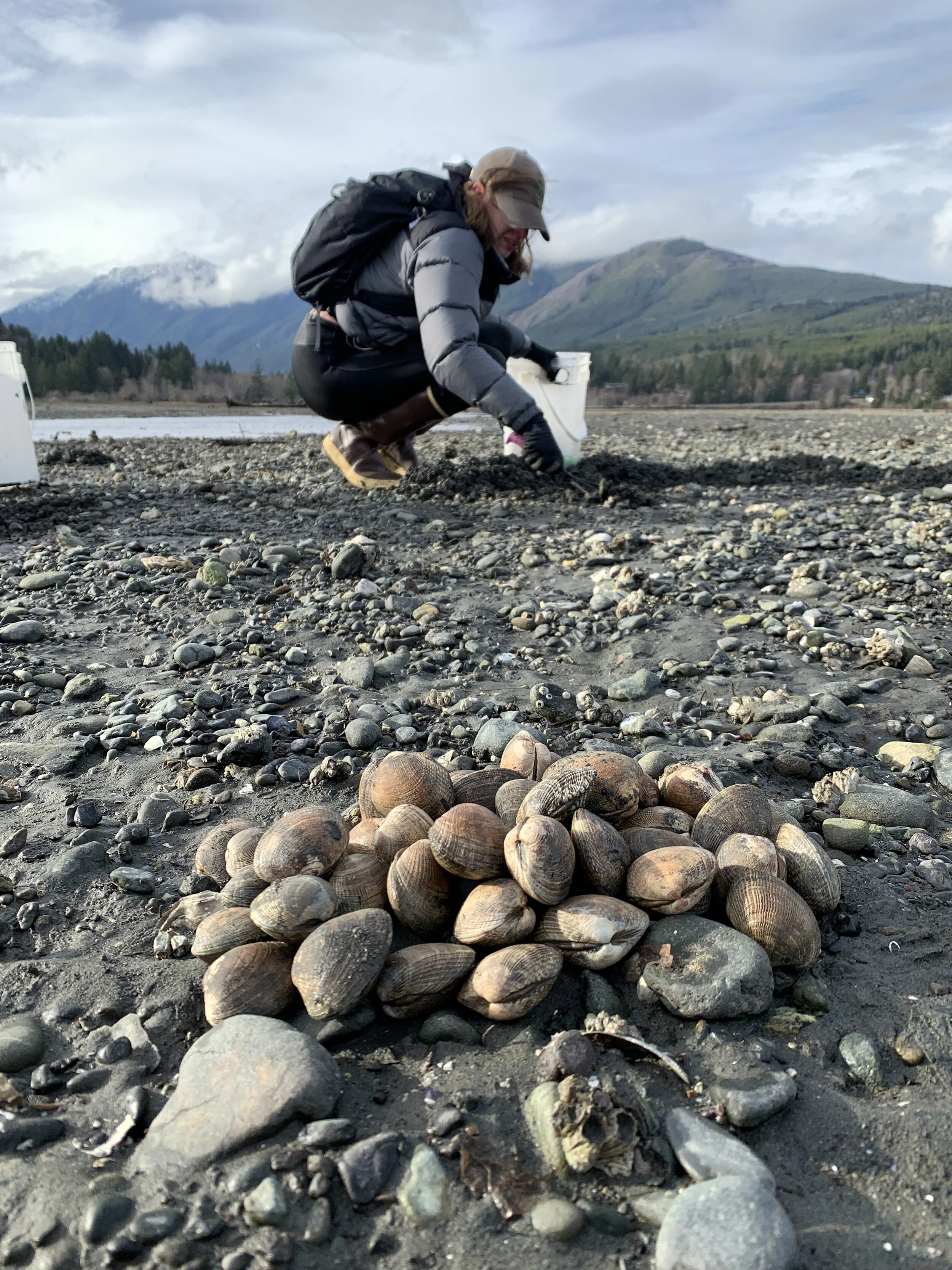 Shellfish Forage and A Feast — HUMAN NATURE HUNTING