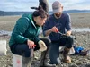 Shellfish Forage and A Feast — HUMAN NATURE HUNTING