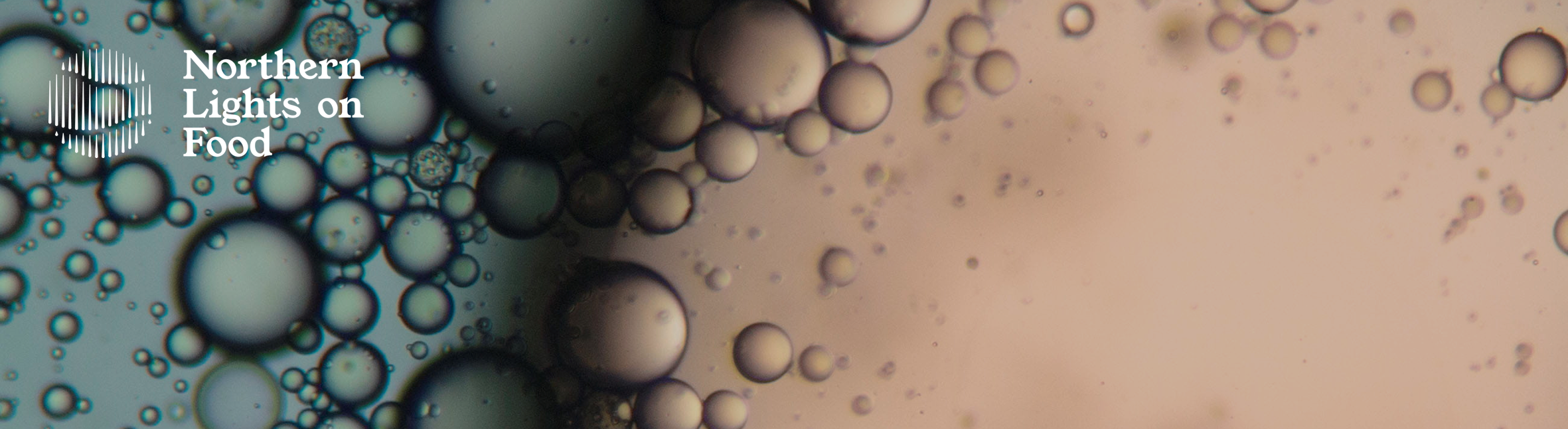 Taste, texture and health – the food 2.0 – Webinar with the Northern ...