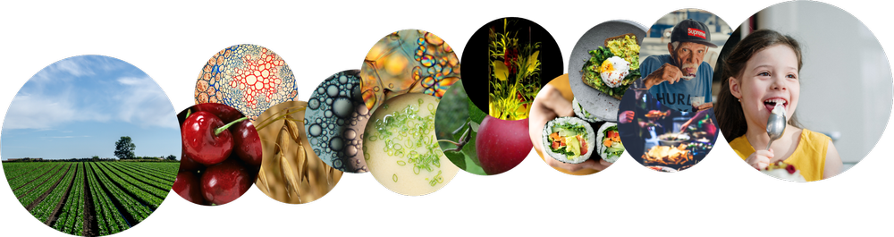 Multiscale structure of food materials: how to look at a complex ...