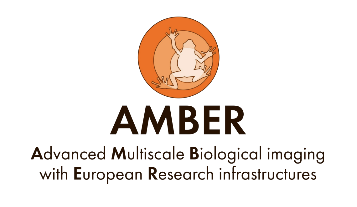 Projects – AMBER — LINXS