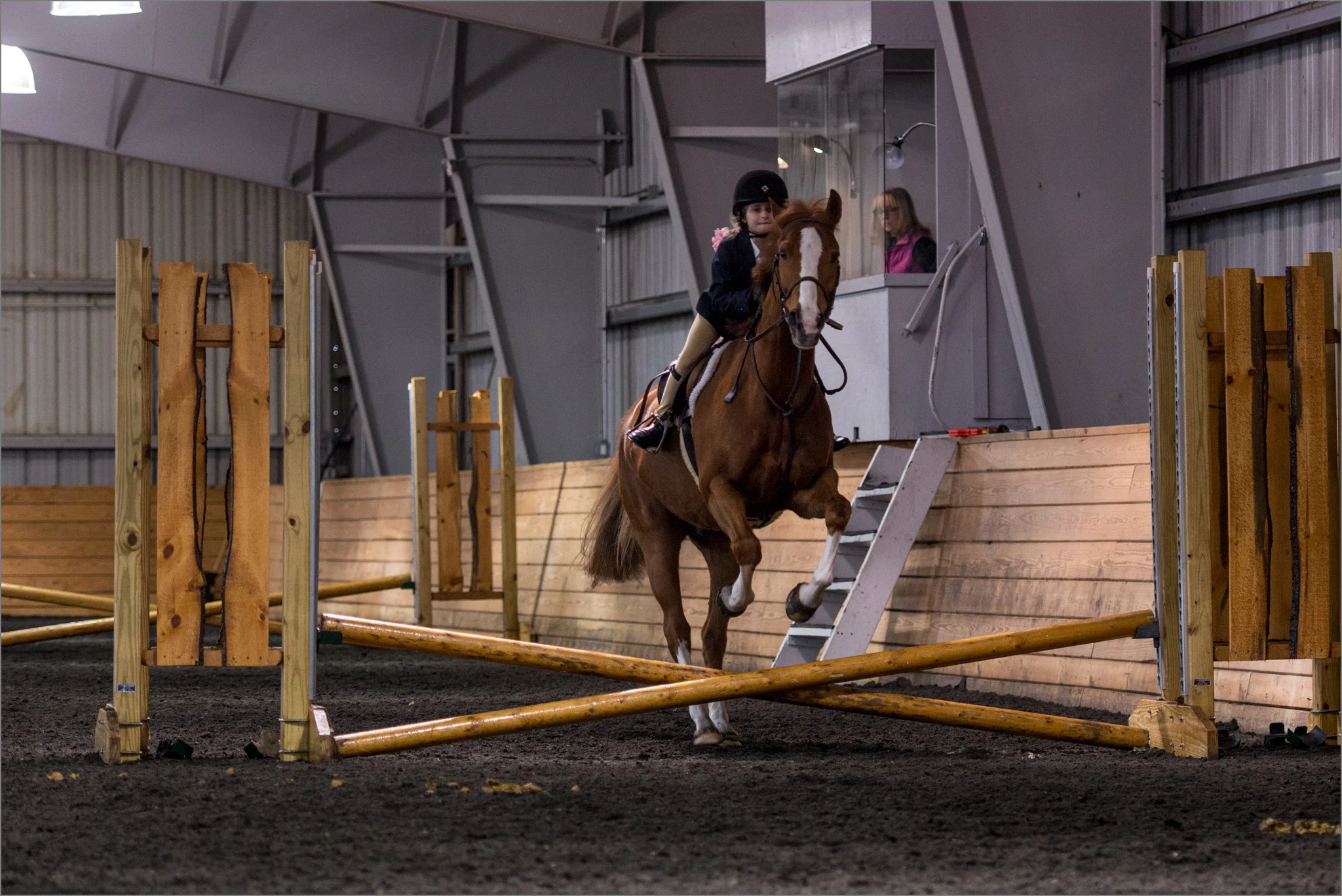 Meet the Trainers & Staff — N & C Equestrian