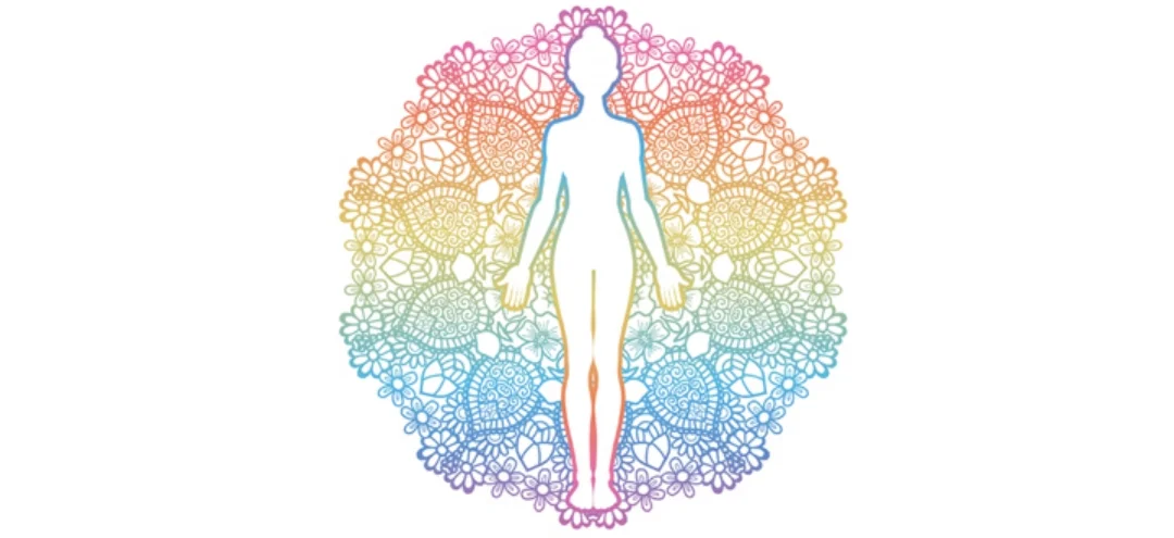 Human Energy System — ScalarPrana