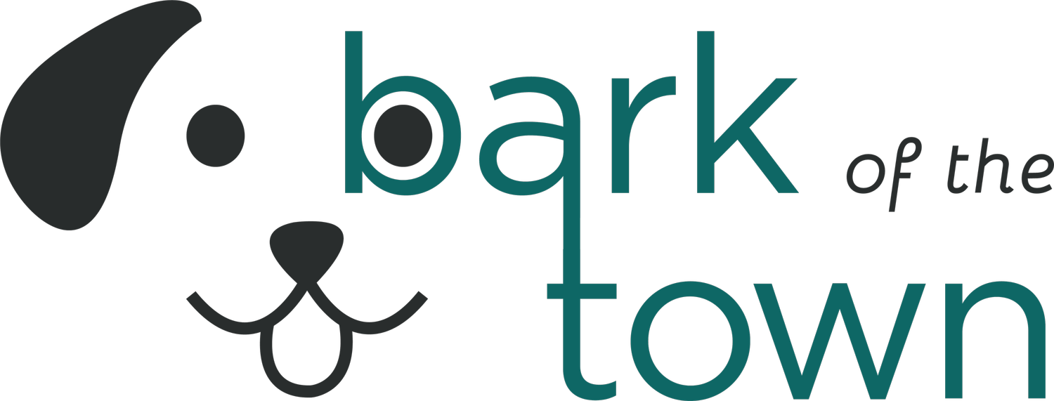 Bark of the Town OKC
