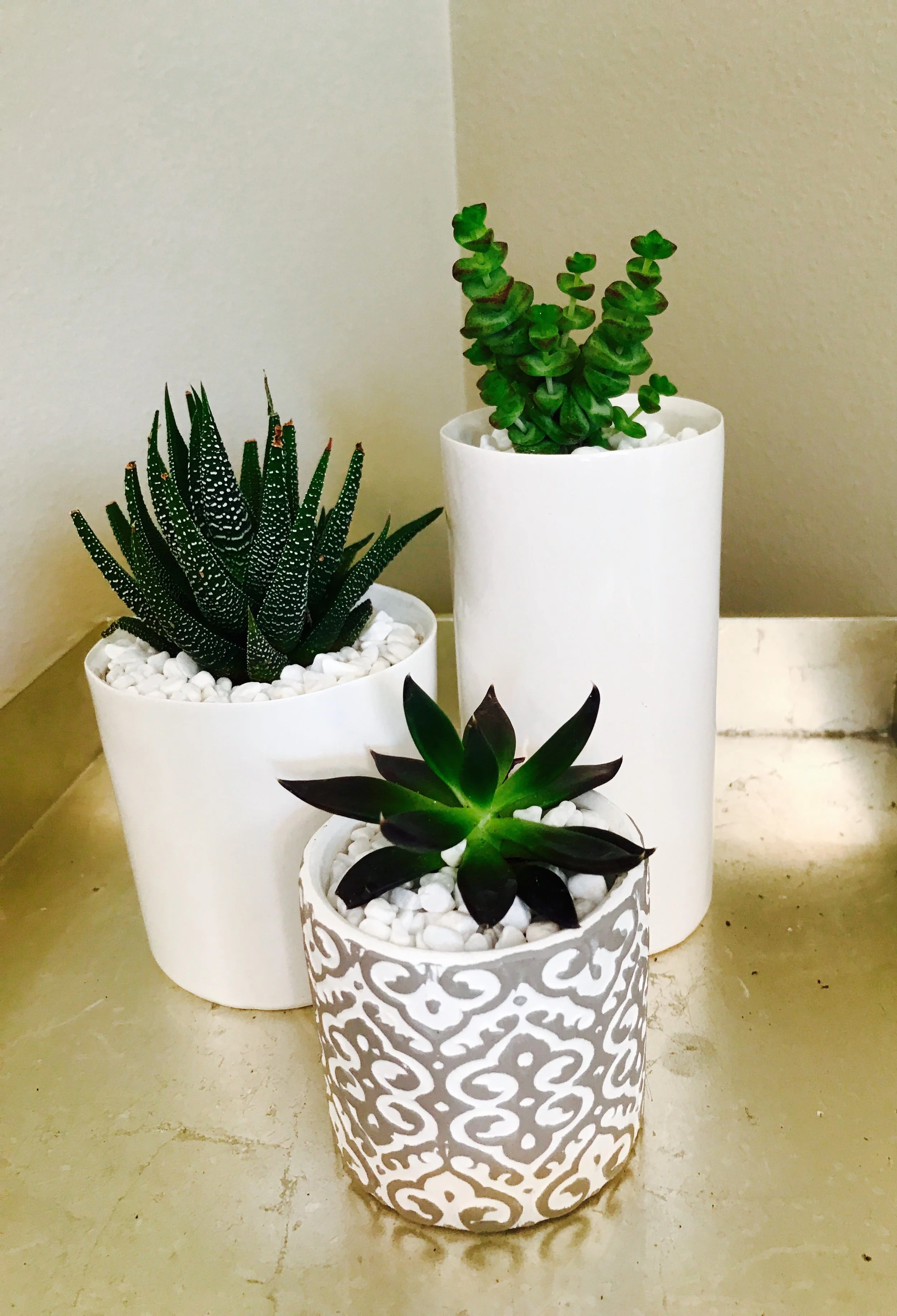 VESSELS — Vessel Botanic