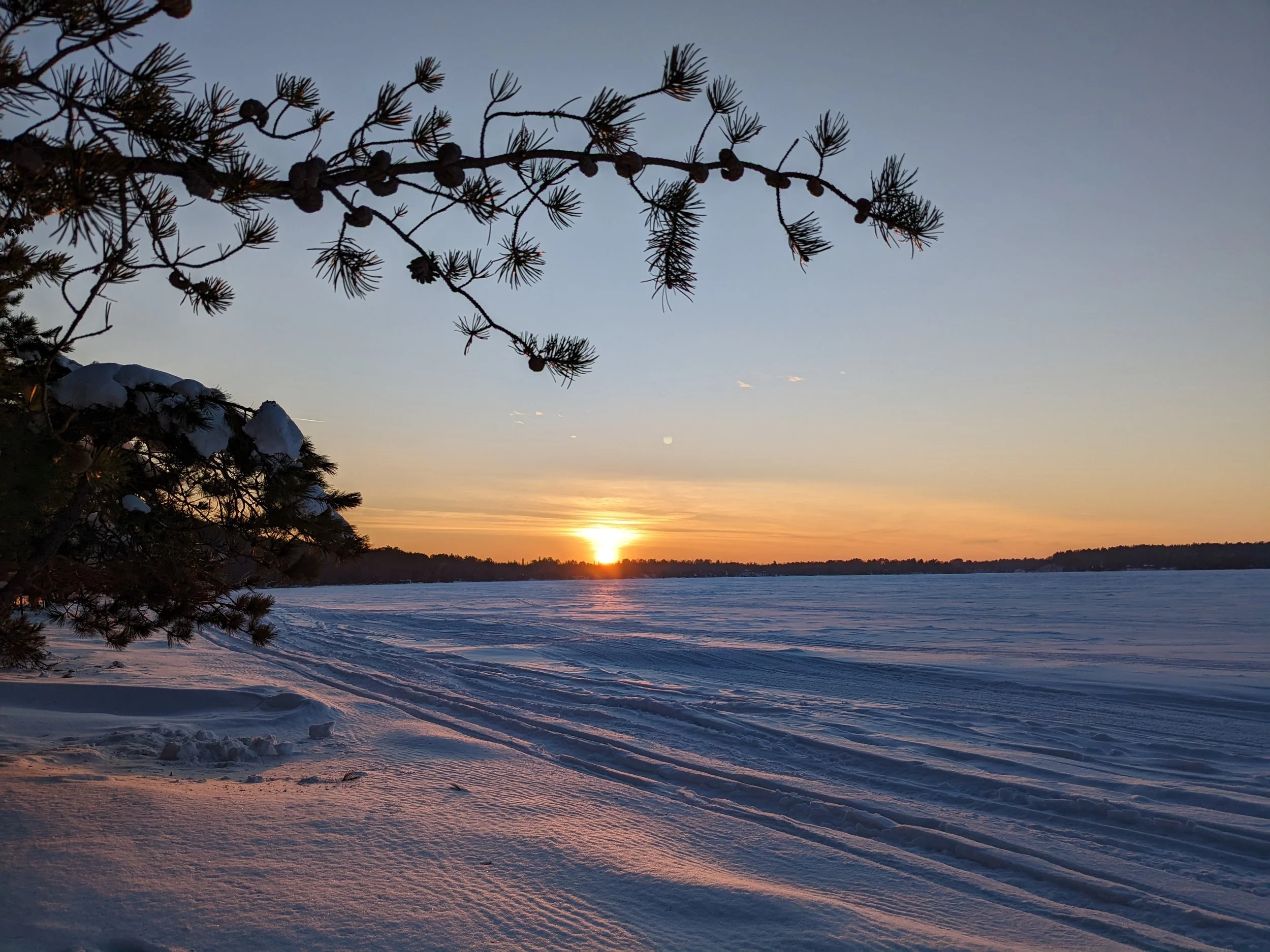 Secret Tree Society — Playable Artworks