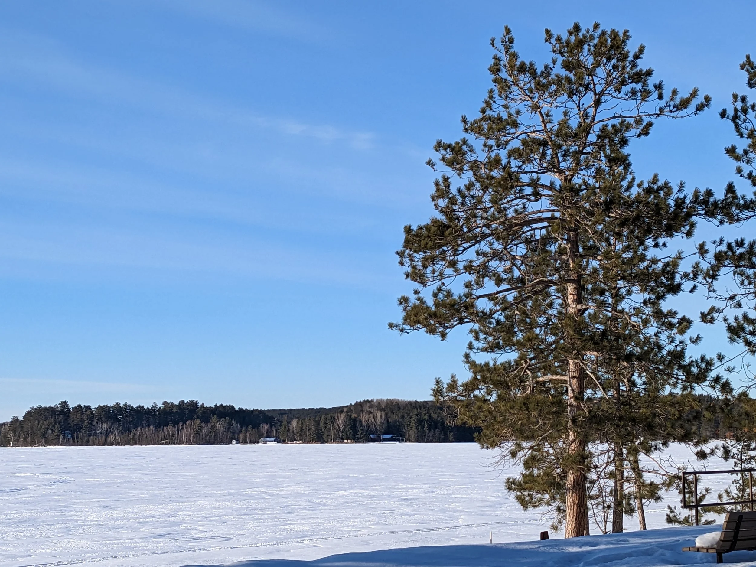 Secret Tree Society — Playable Artworks