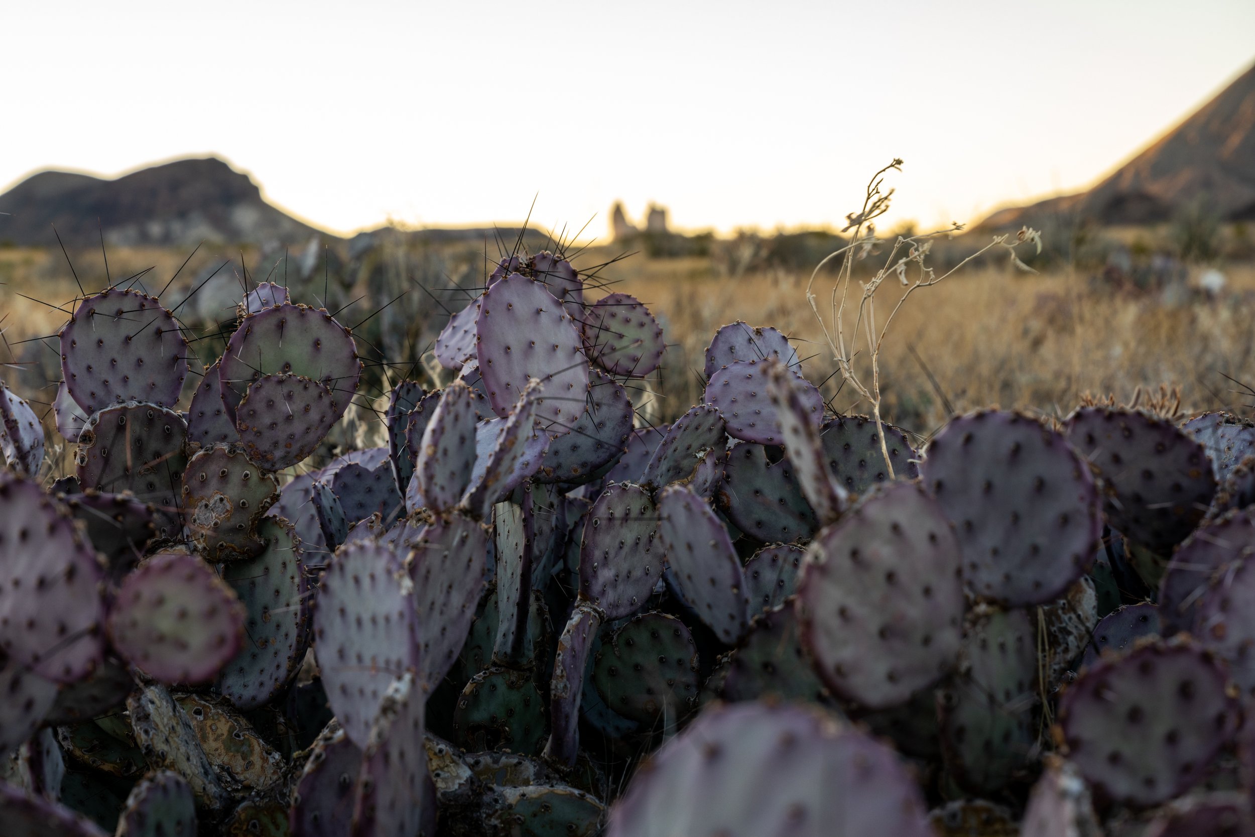 The Chimneys — Drive. Hike. Repeat.