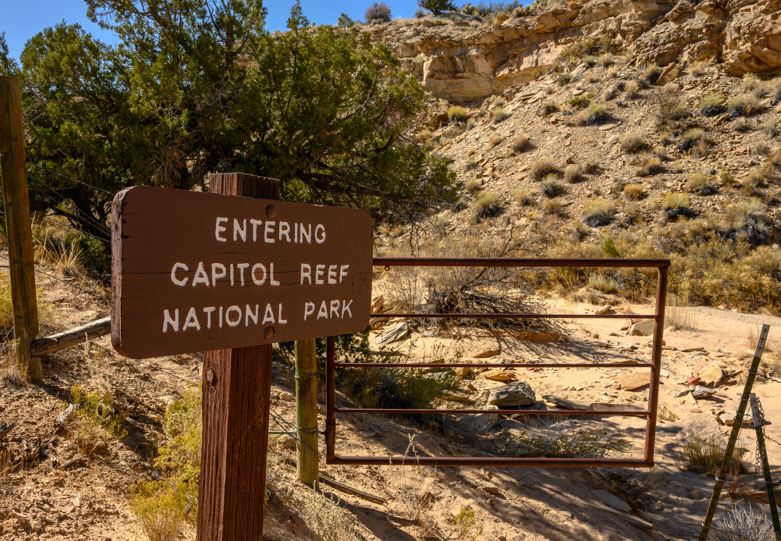 Burro Wash — Drive. Hike. Repeat.