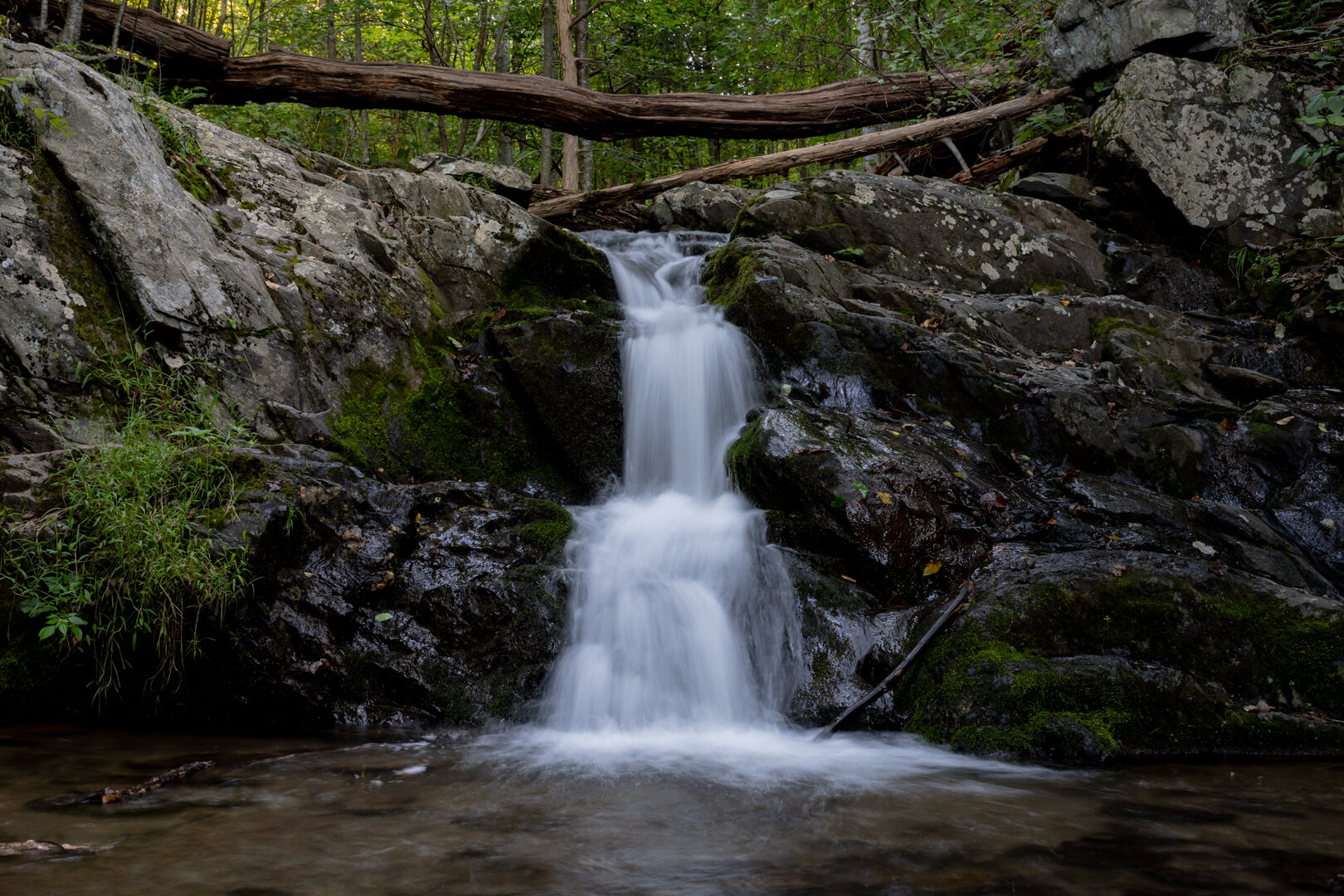 Doyles River/ Jones Run Loop — Drive. Hike. Repeat.