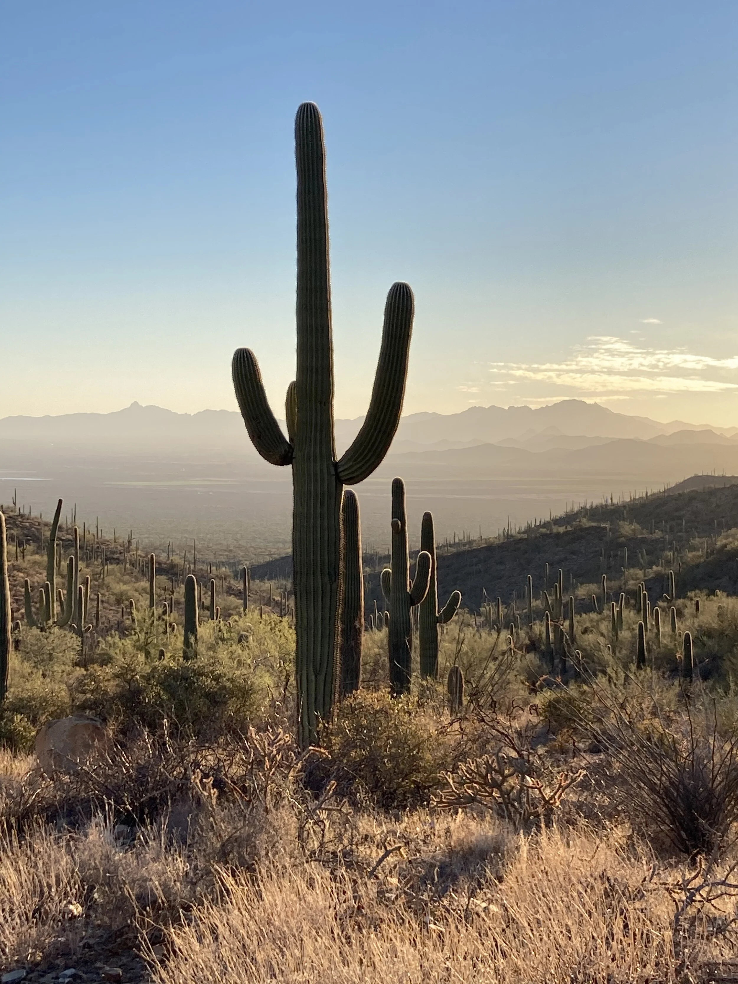 From White Sands to Red Rocks — Drive. Hike. Repeat.