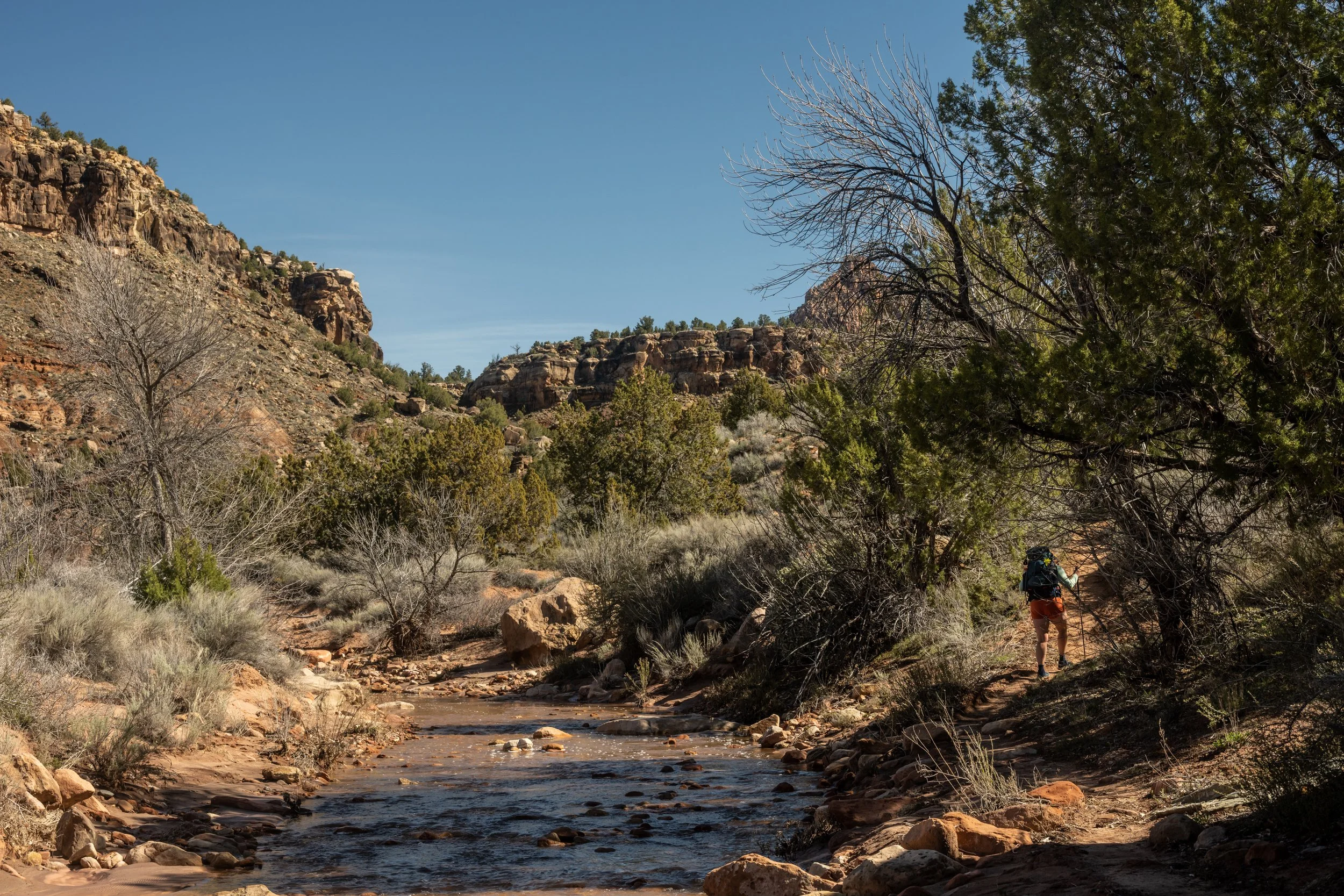 Chinle Trail and Coalpits Wash — Drive. Hike. Repeat.