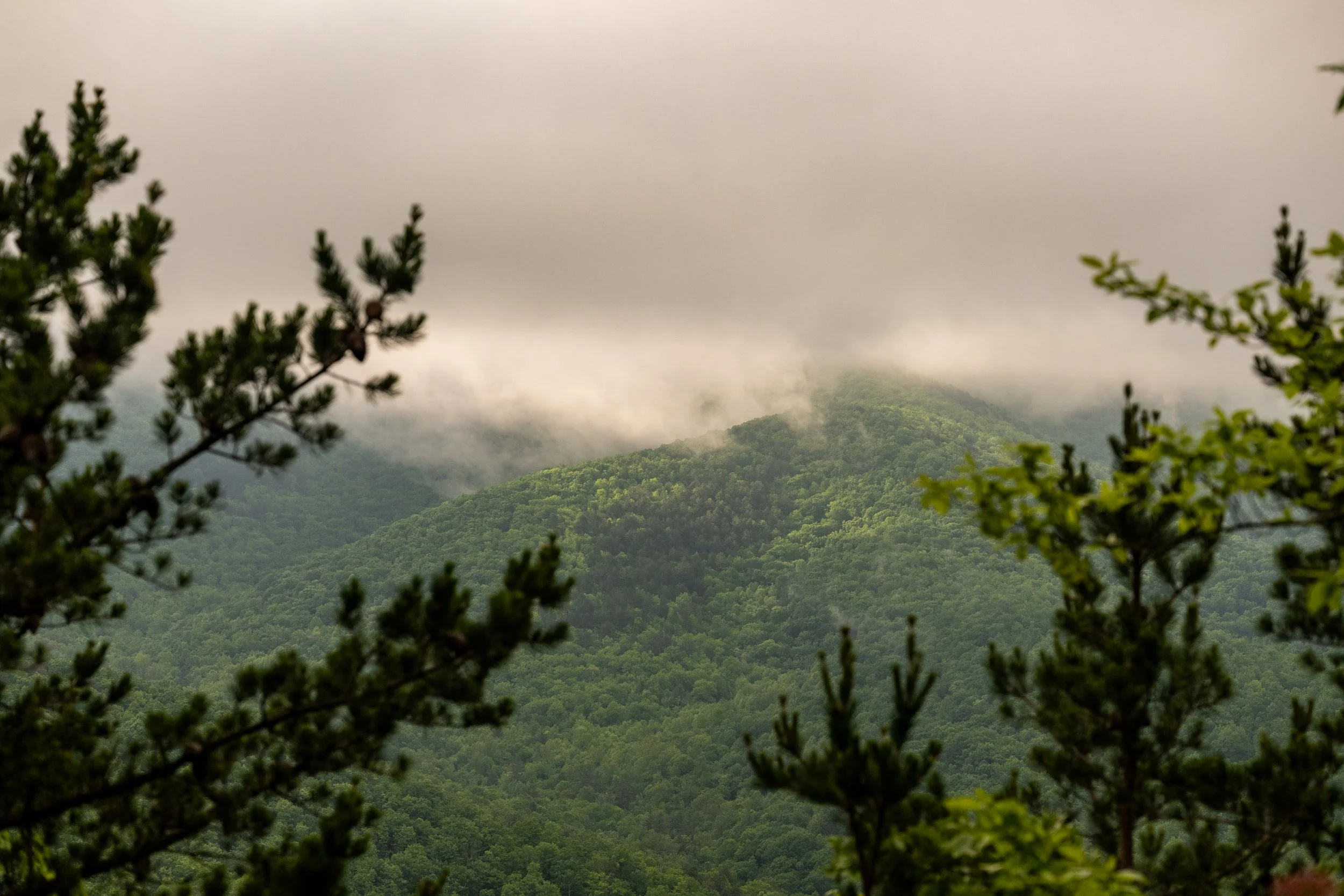 Three Short Hikes Near Loft Mountain Campground — Drive. Hike. Repeat.