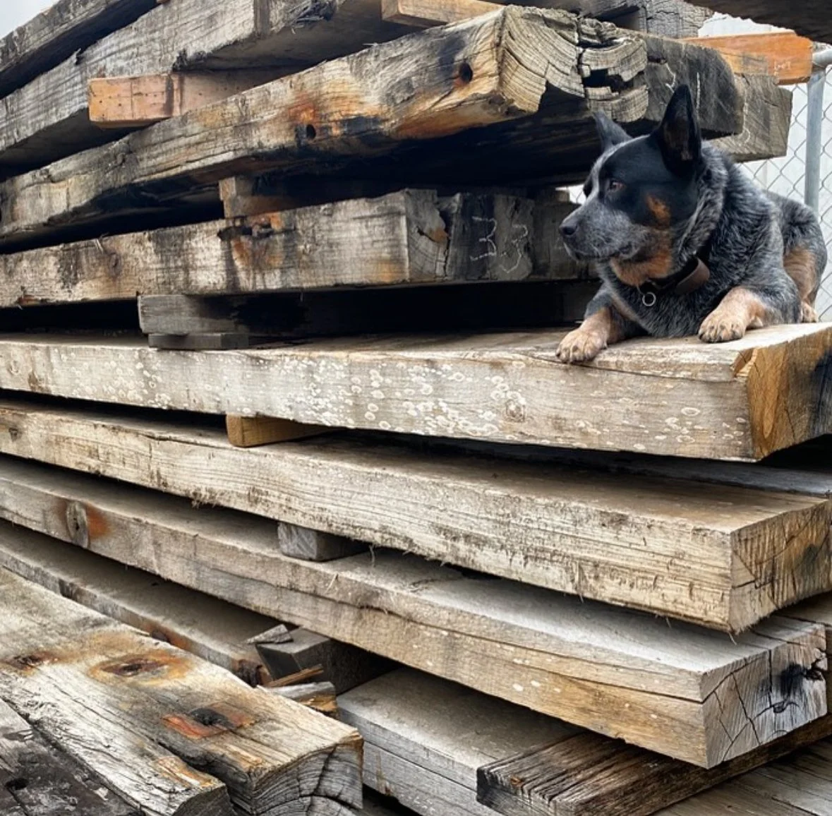 Peninsula Recycled Timber | Melbourne & Mornington Peninsula Reclaimed ...