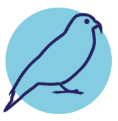 Our Teams — Pukete School