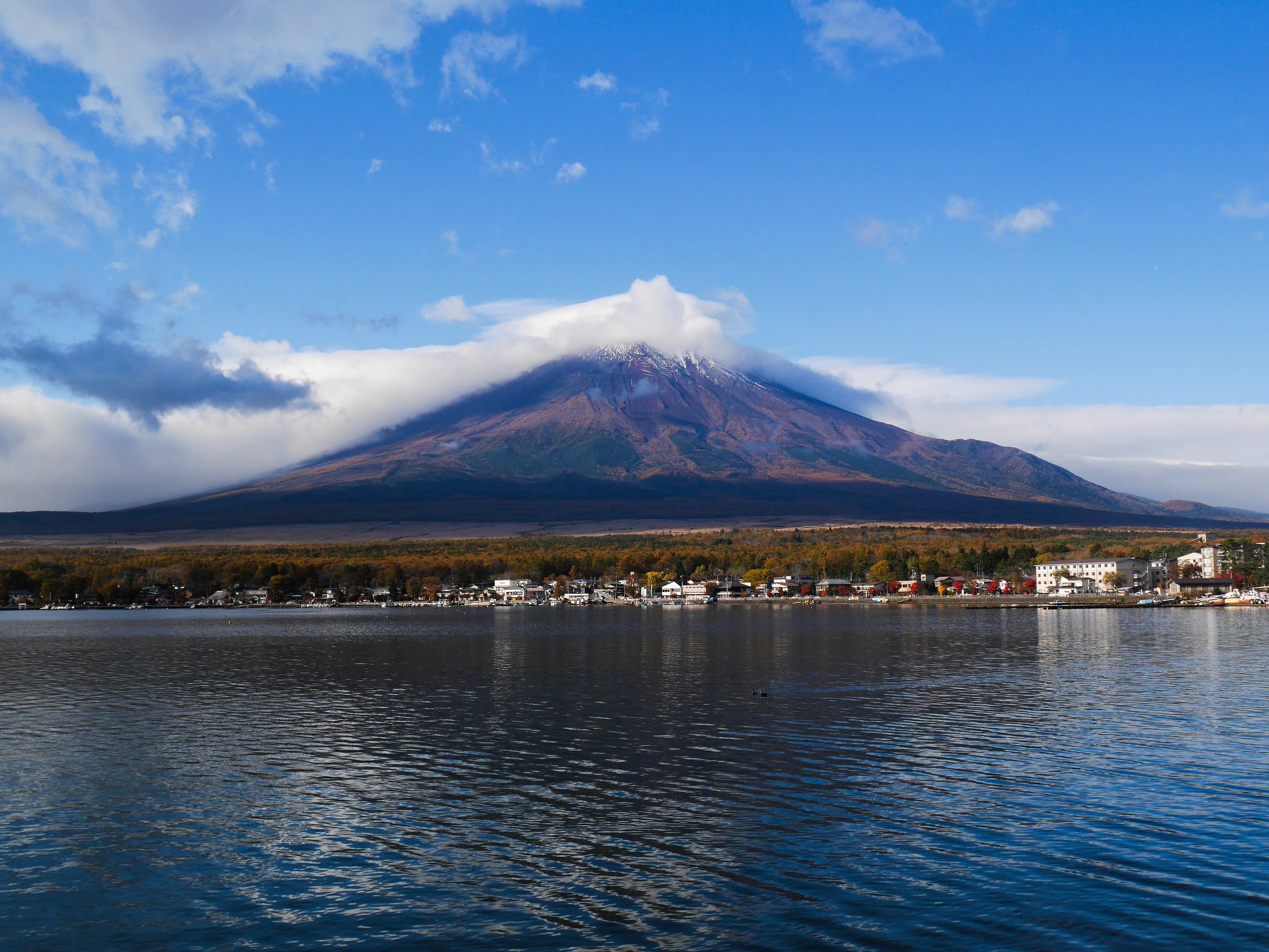 Customer-Centric Cycling in Japan: The Story Behind Matthew Cycle — Saga Consulting