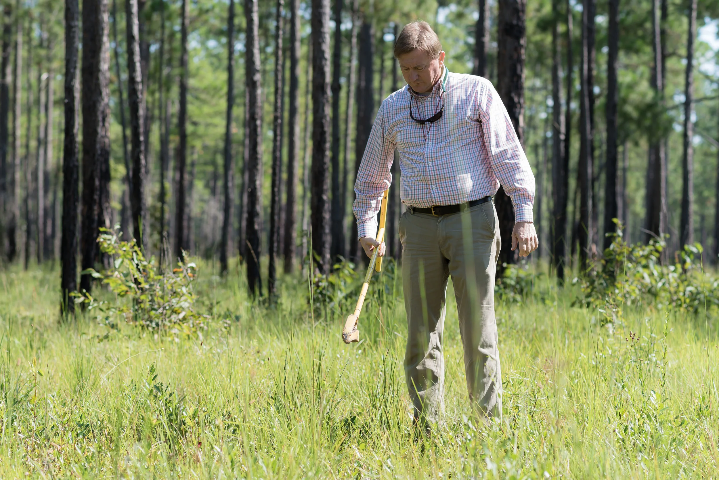 Gallery — The Brigman Company