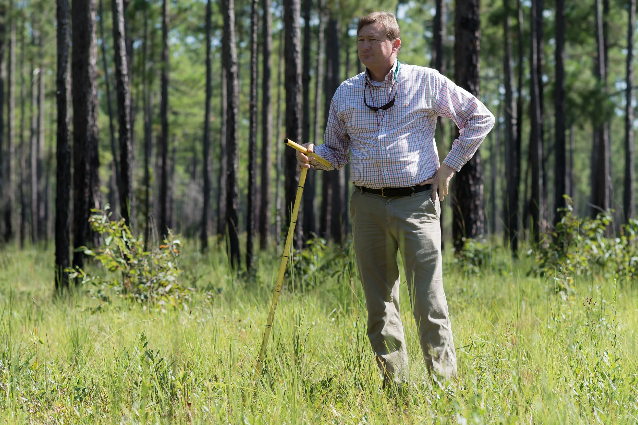 Gallery — The Brigman Company