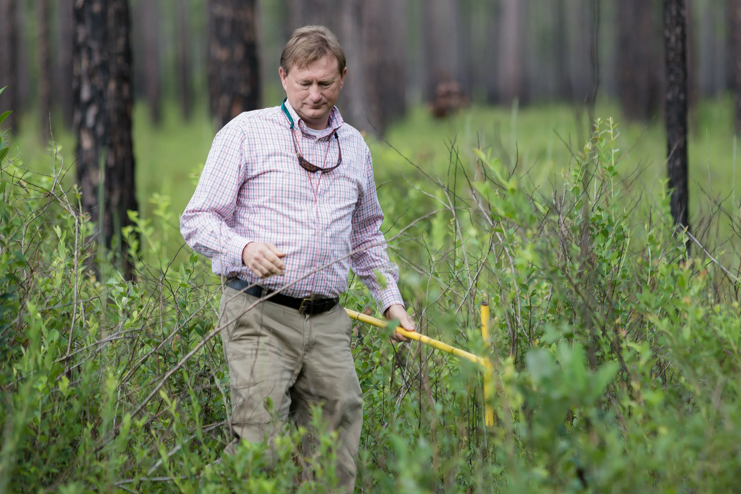 Gallery — The Brigman Company