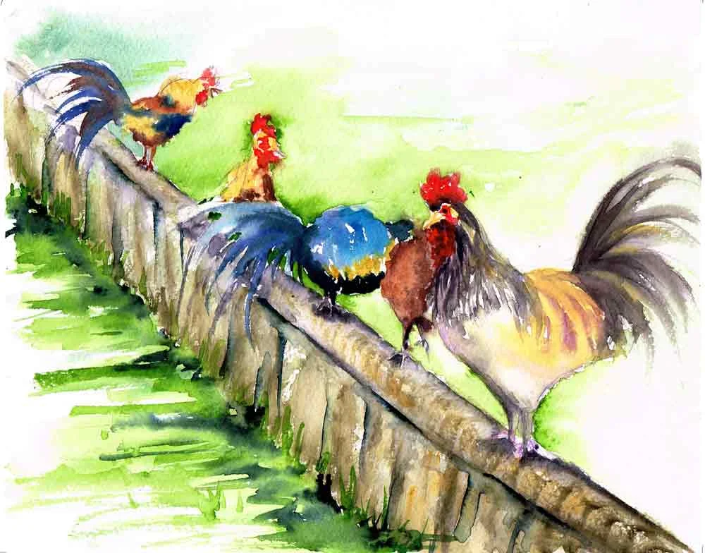 Paint a rooster in watercolour... and instantly lift your mood ...