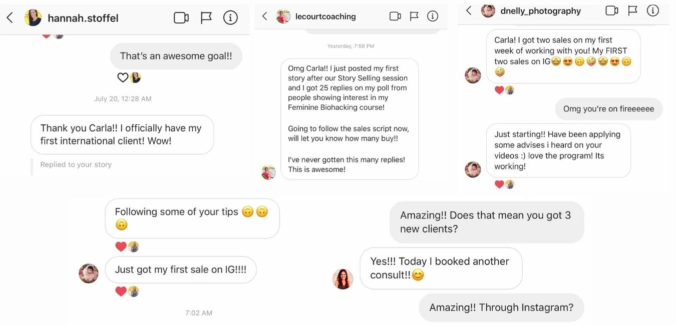 CyberMonday Sale — Carla Biesinger