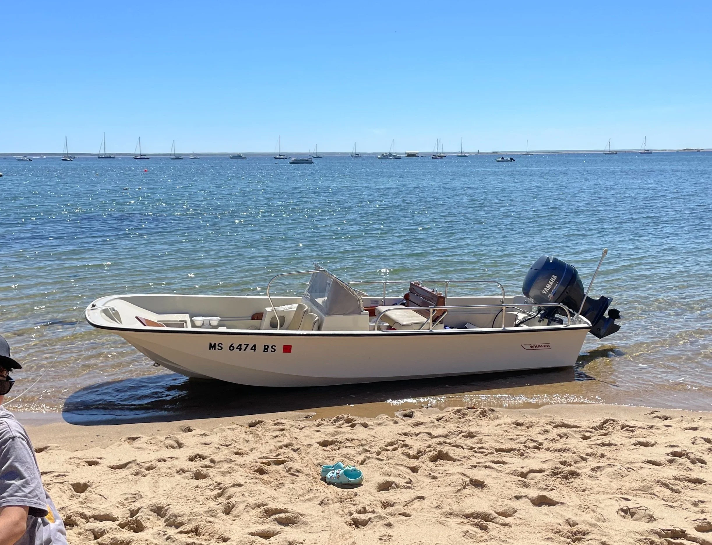 Specializing in Classic Boston Whalers — TDC Marine - Specializing in ...