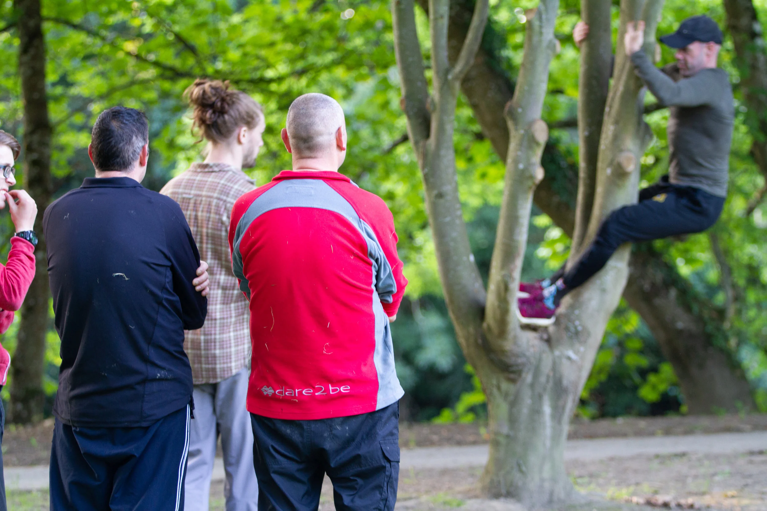 Tree Climbing Workshop in my Hometown! — Back To Roots