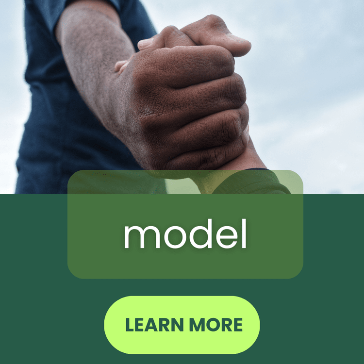 The MISSION Model