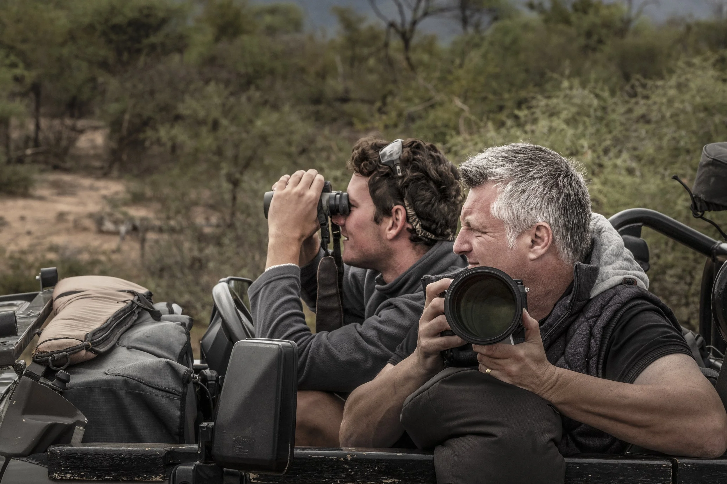 African Wildlife Fine Art Prints | Peter Delaney