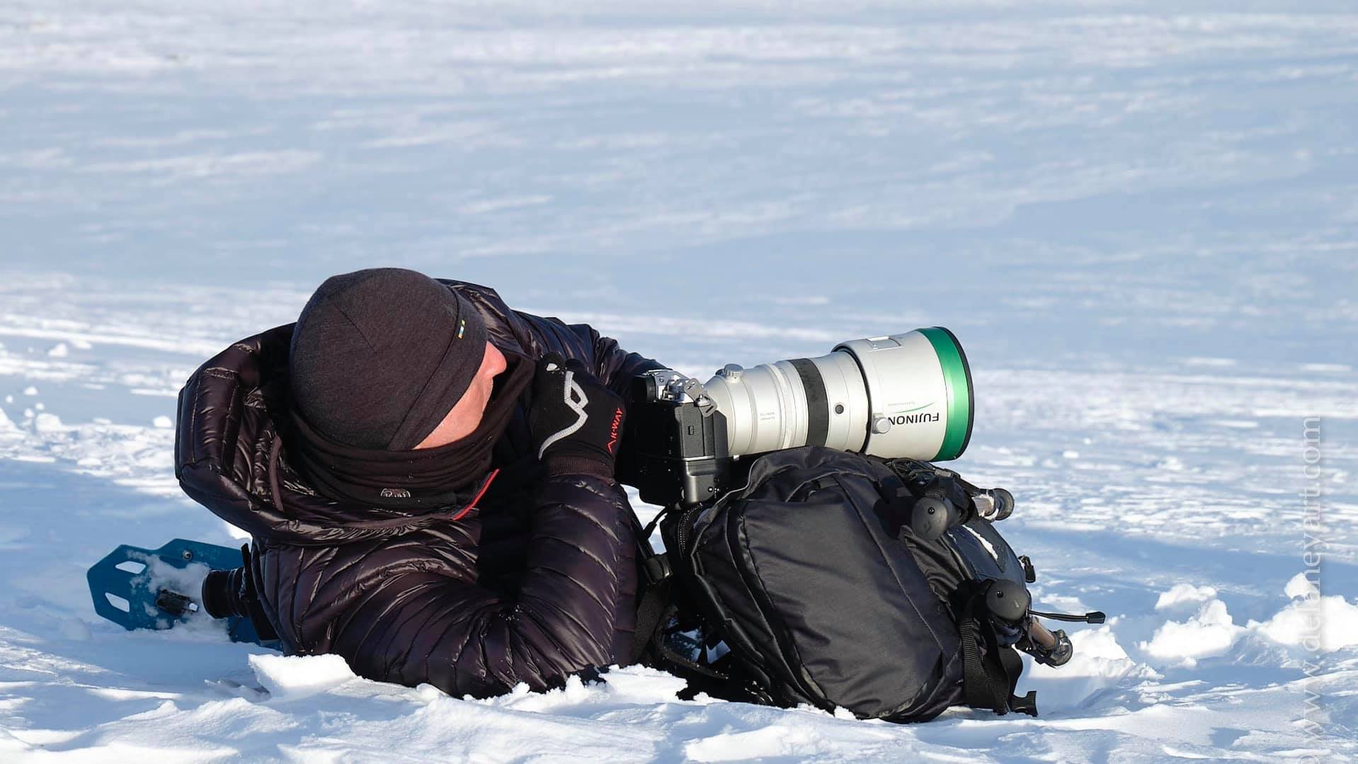 African Wildlife Prints | Delaney Fine Art