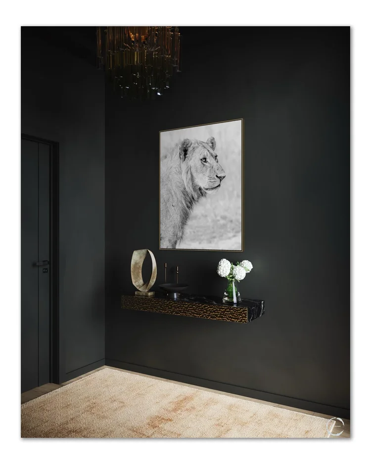 Peter Delaney | Black and White African Wildlife Art Prints