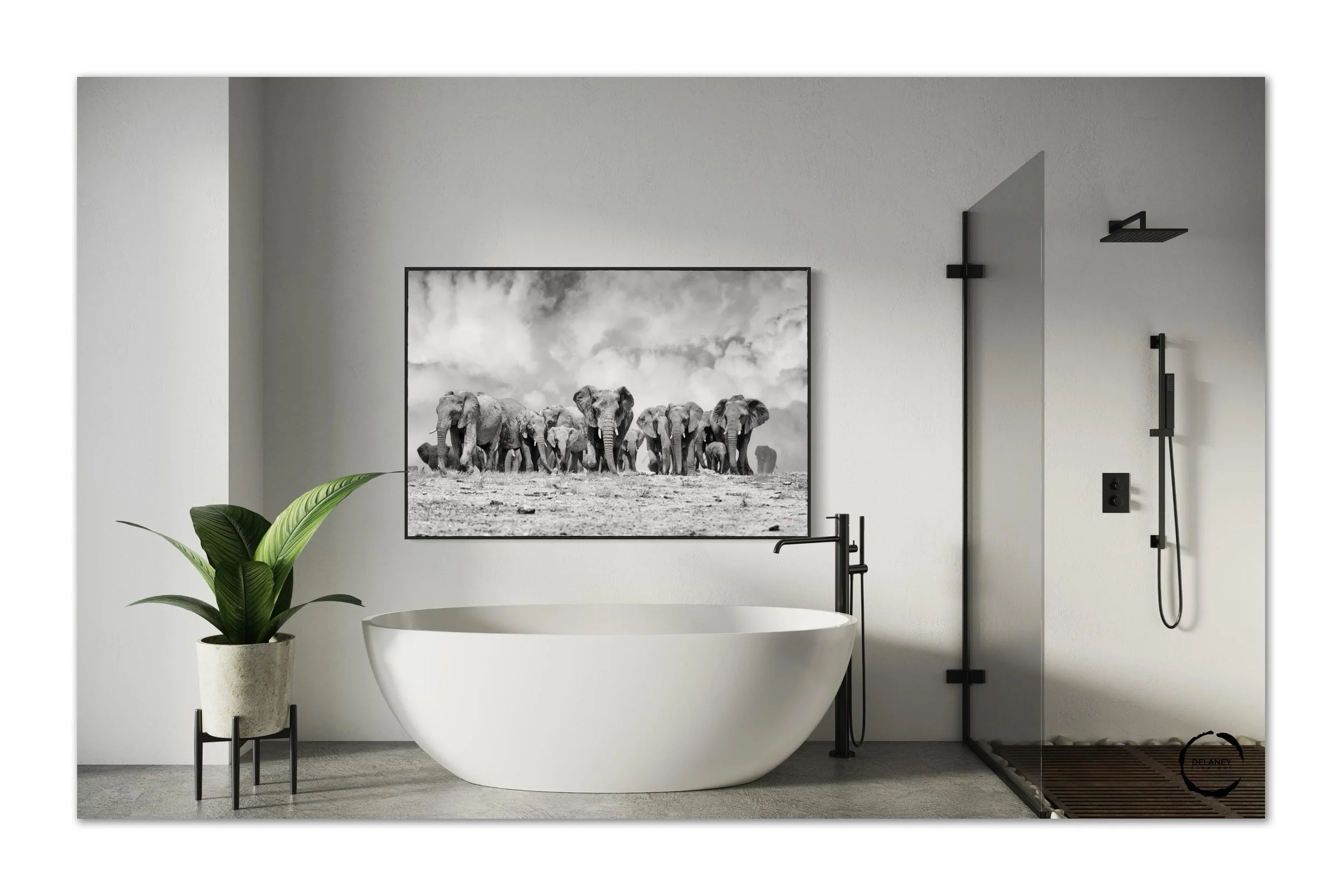 Exclusive Wildlife Fine Art Prints | Peter Delaney