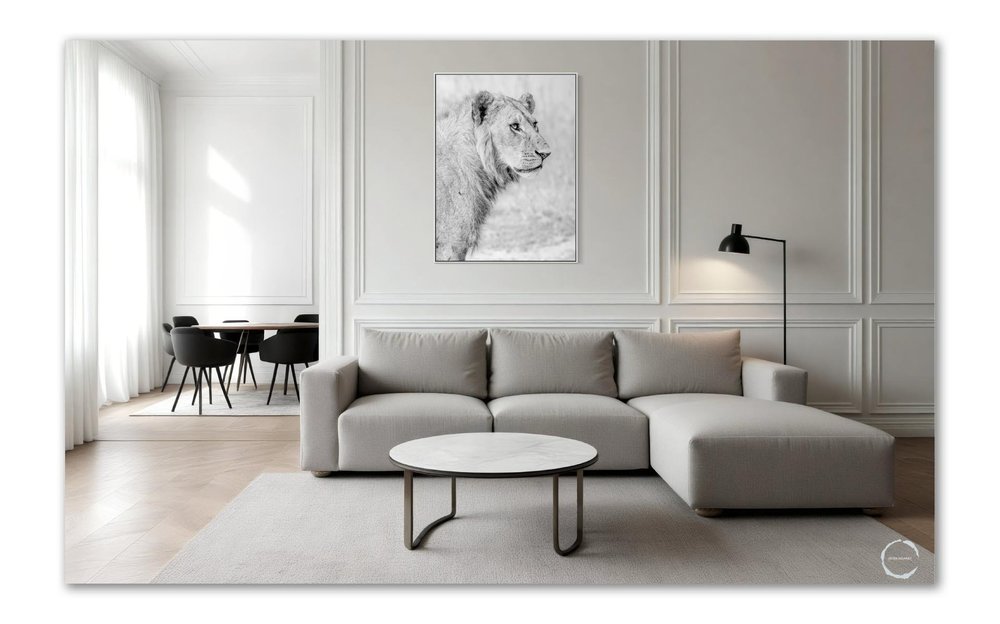 Peter Delaney | Black and White African Wildlife Art Prints