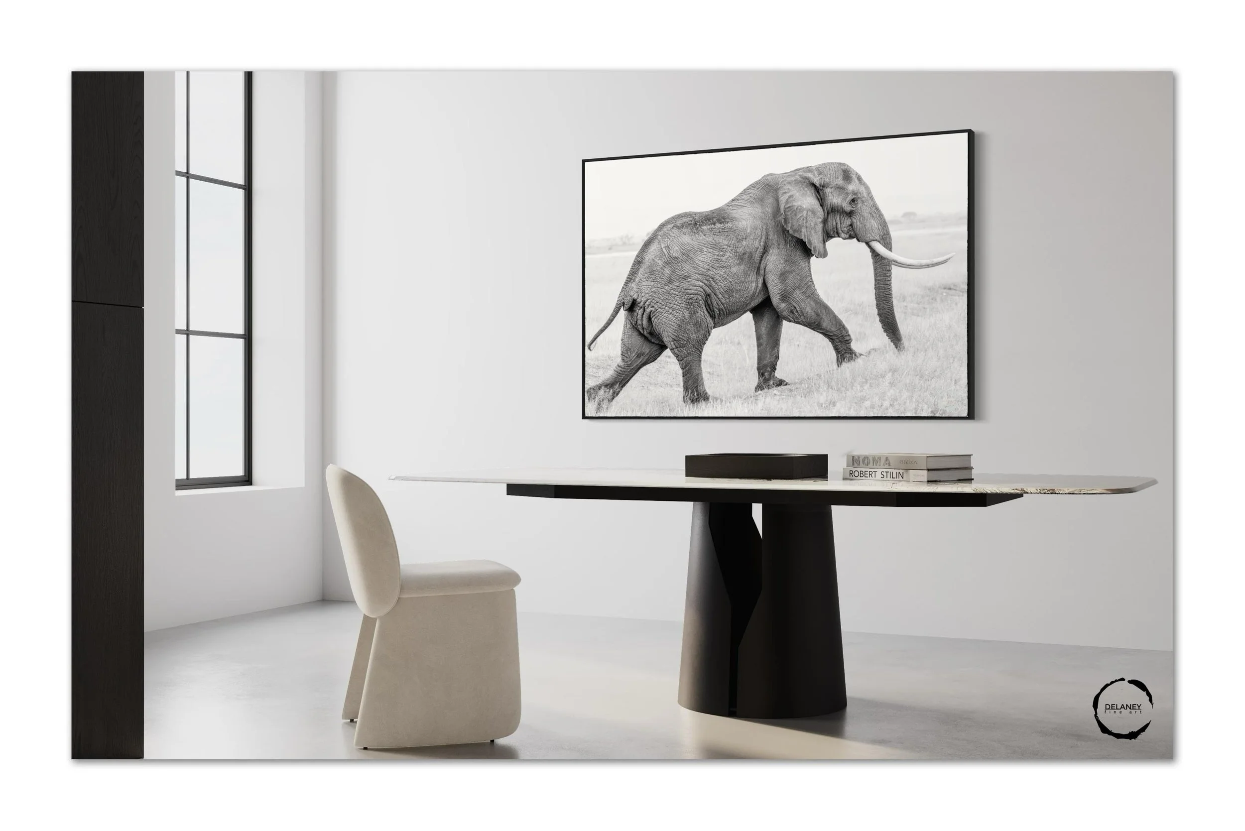 Vulture — Matte Canvas Prints | African Wildlife Photography