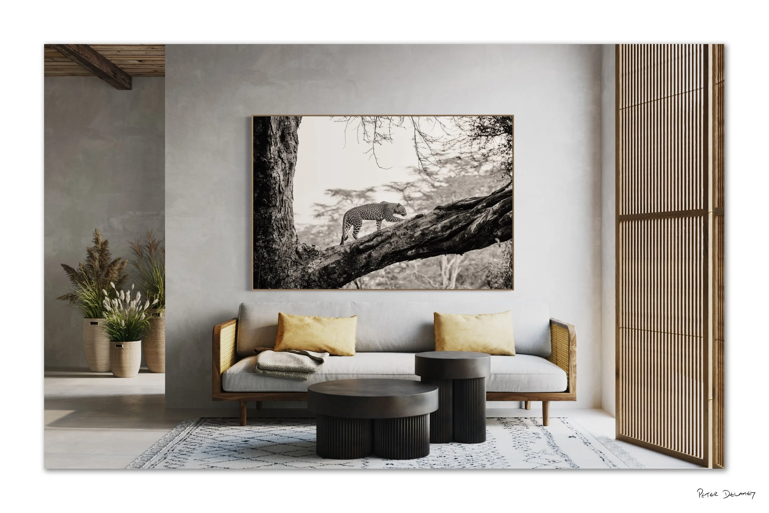 African Wildlife Fine Art Prints | Peter Delaney
