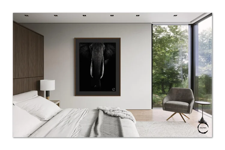 Exclusive Wildlife Fine Art Prints | Peter Delaney