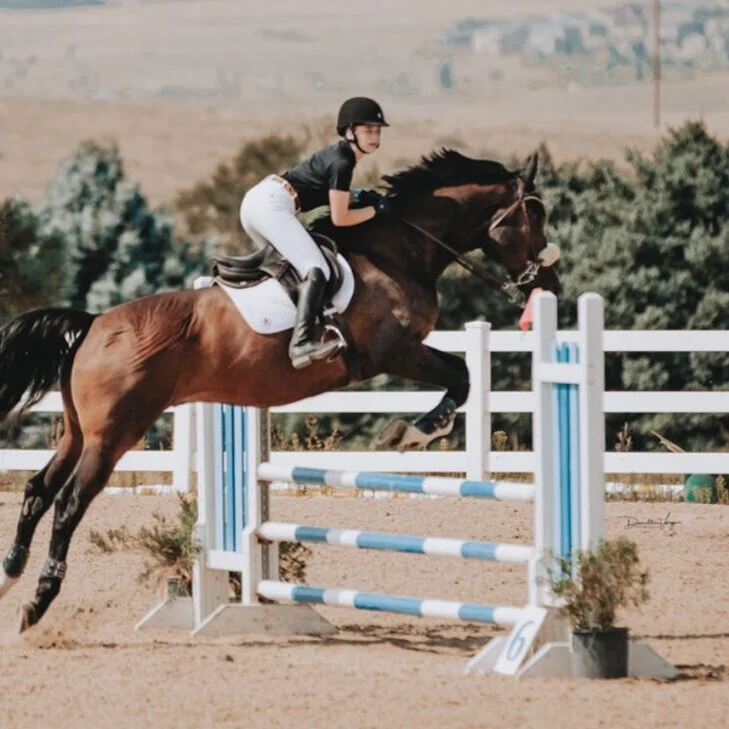 English Riding Lessons — White Harvest Farms