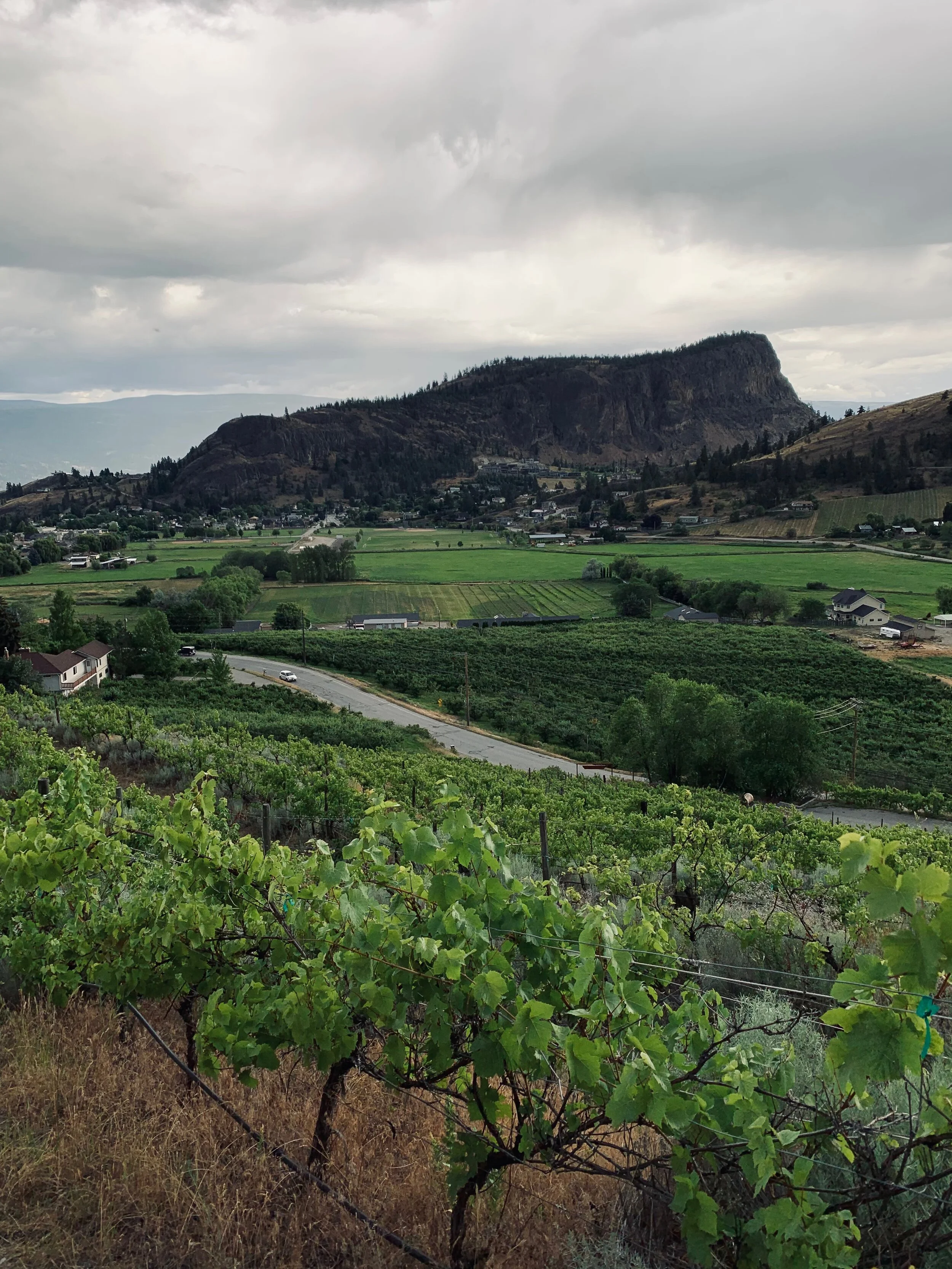 LIGHTNING ROCK | OKANAGAN, CANADA — Juice Imports | Alberta Importer of ...