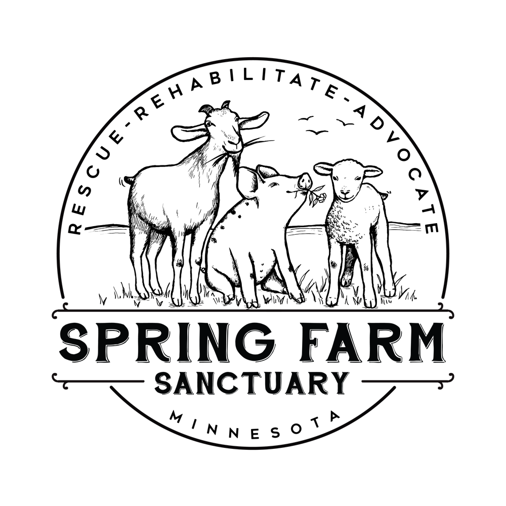 Spring Farm Sanctuary