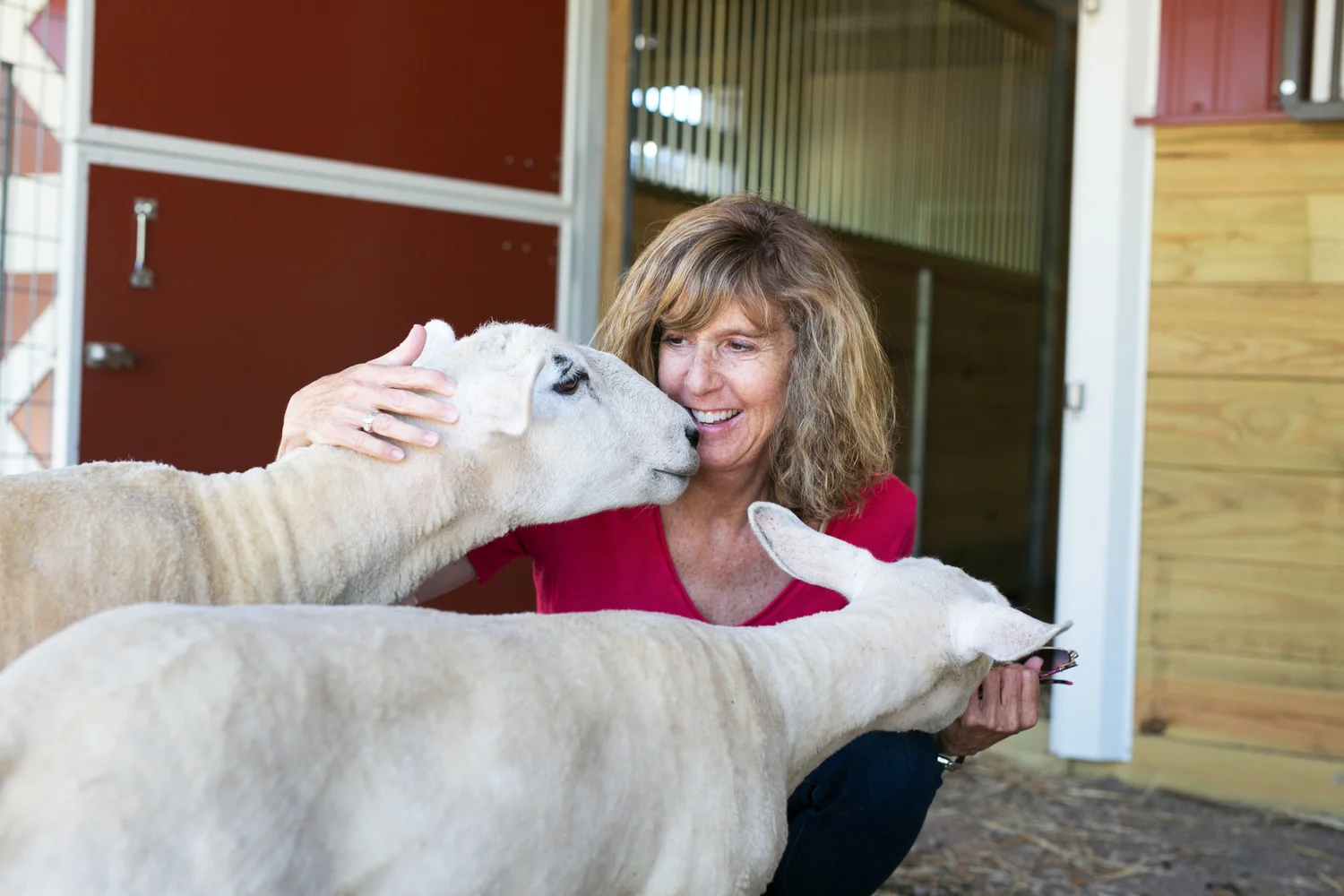 Sponsor Pete! — Spring Farm Sanctuary