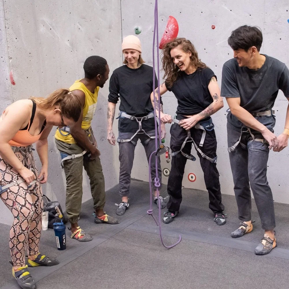 Top Rope Meetup — Joe Rockhead's Indoor Rock Climbing