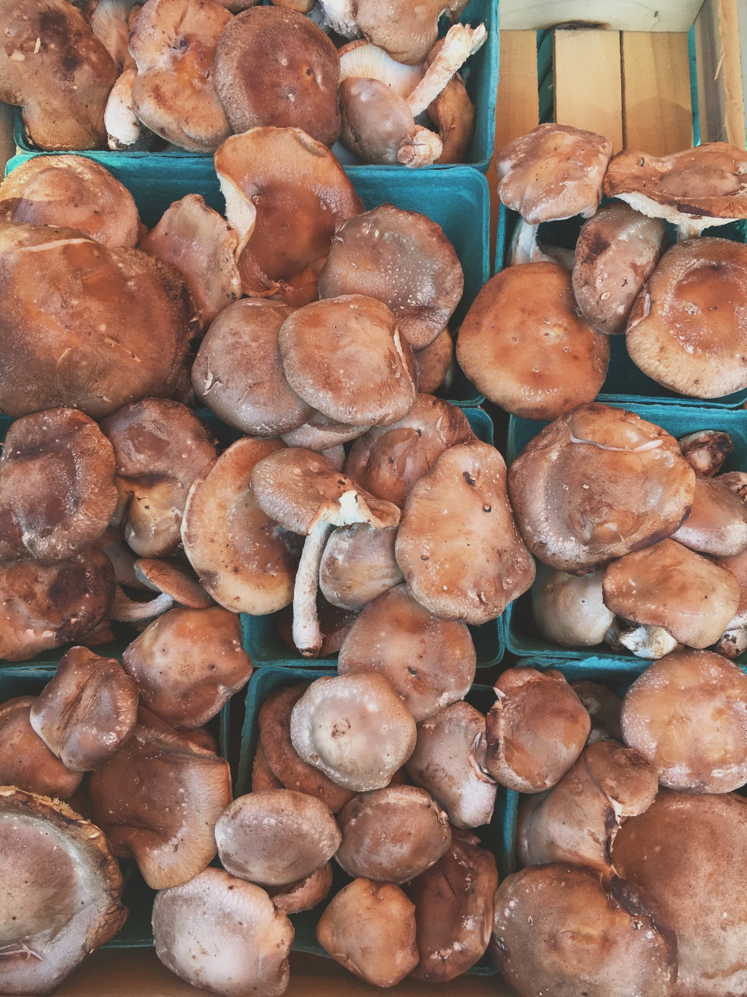 Haymaker Farmers' Market