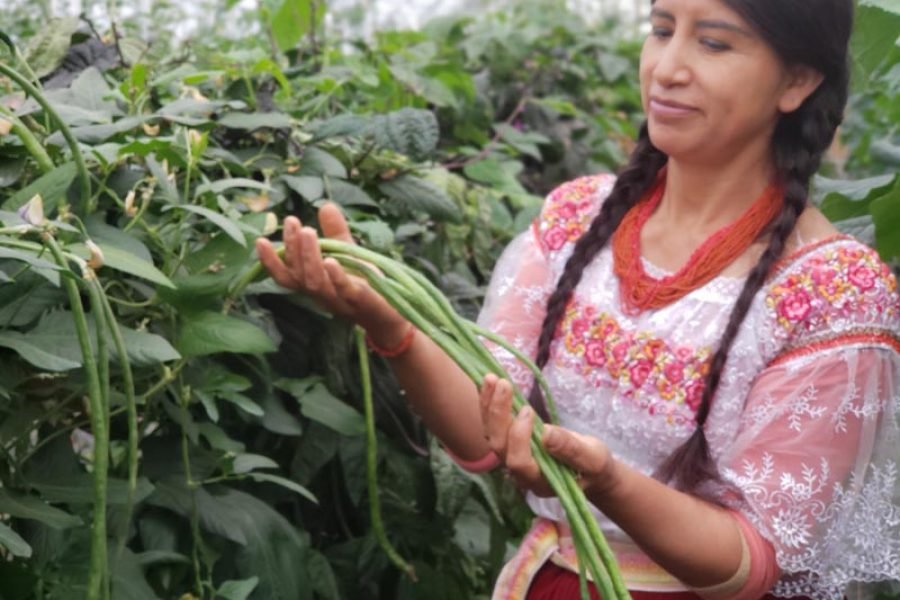 Farm Tour — Haymaker Farmers' Market