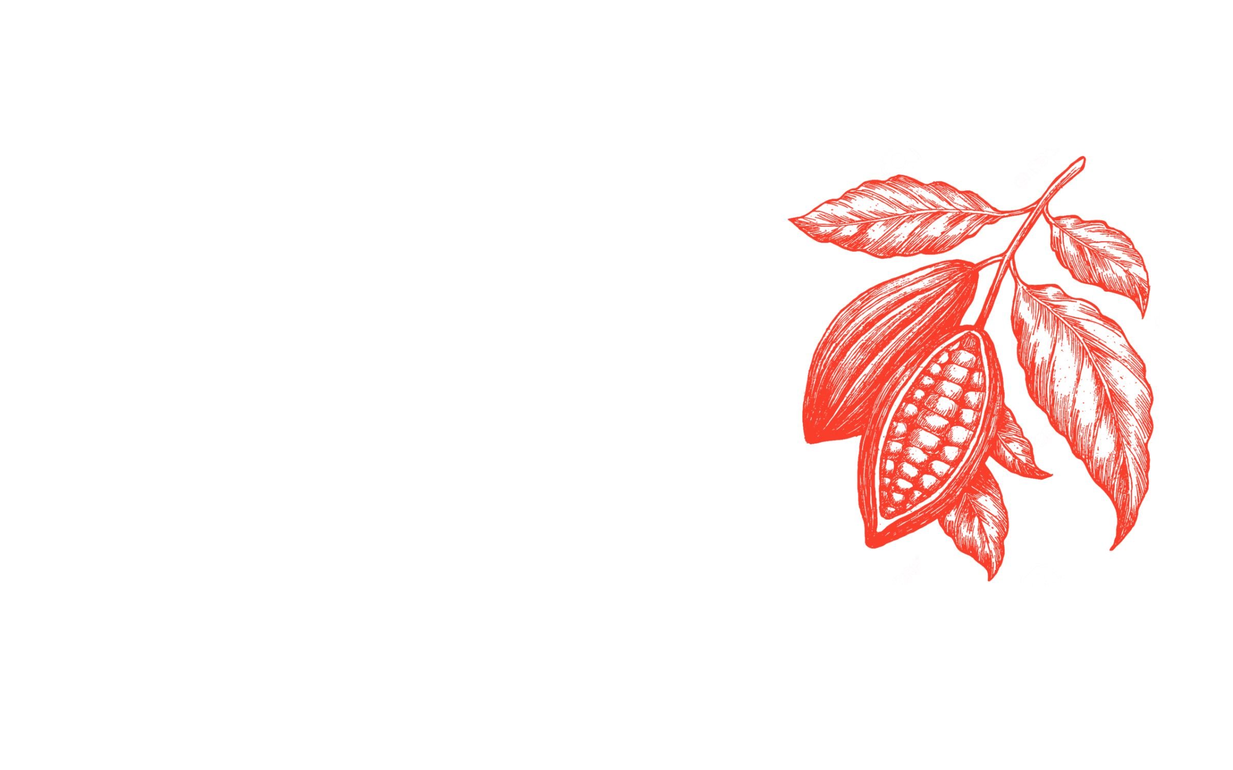 Spanish for Organizations — California Bilingüe