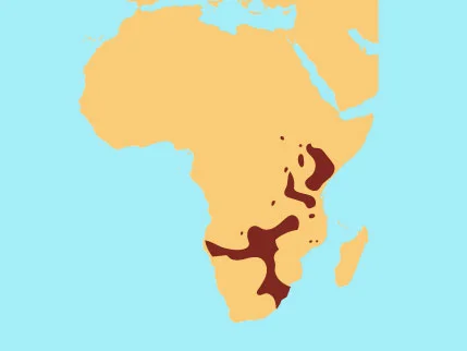 Where Do Zebras Live Map