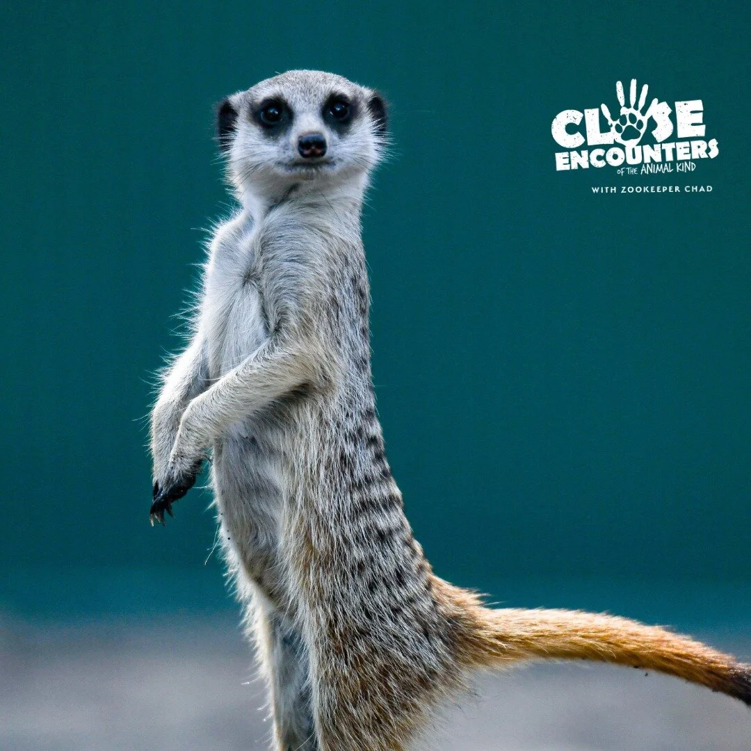 Events — Mogo Wildlife Park - NOW OPEN 9AM-4PM DAILY