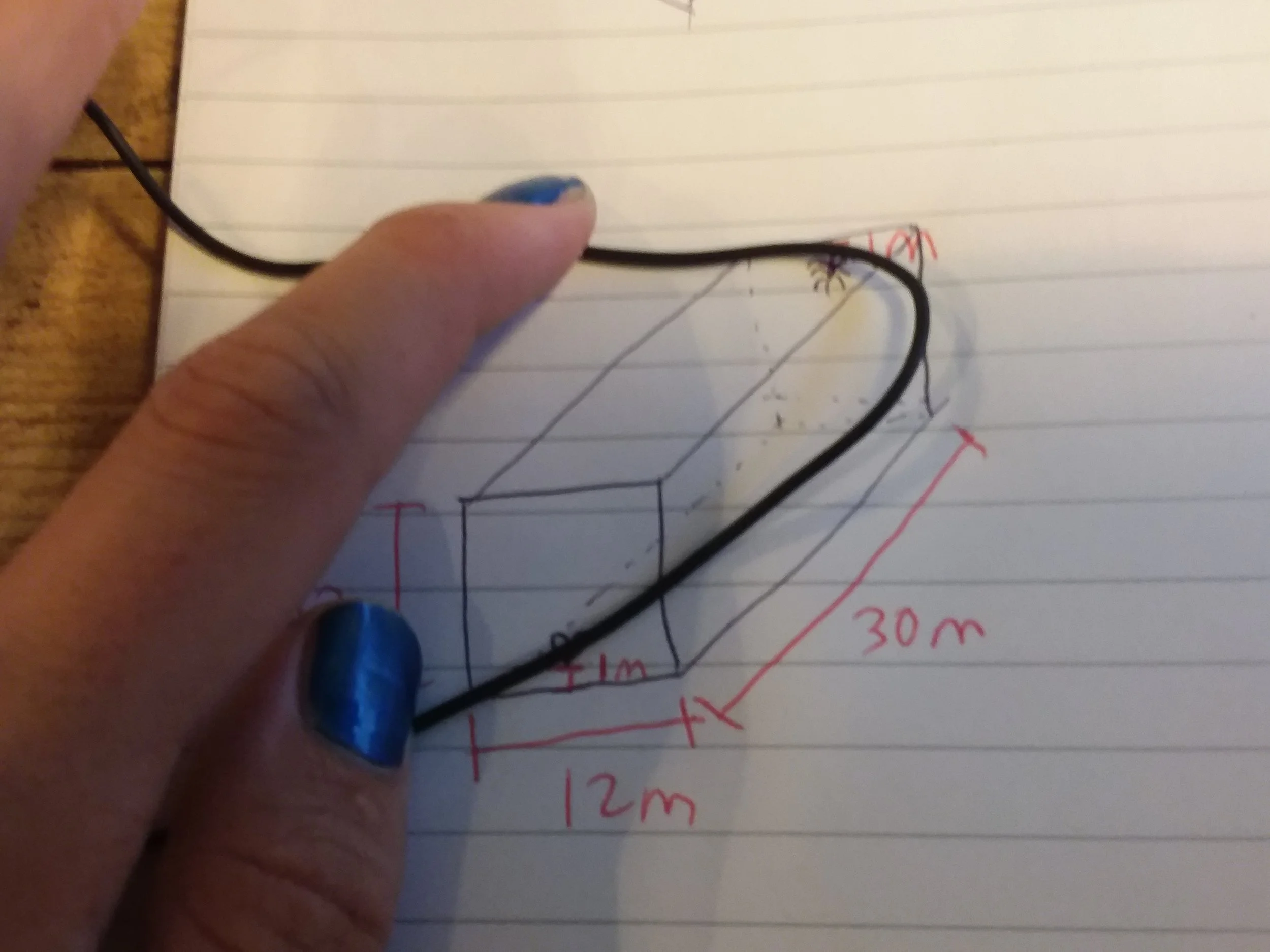 The Spider and the Fly Problem — alaricstephen.com