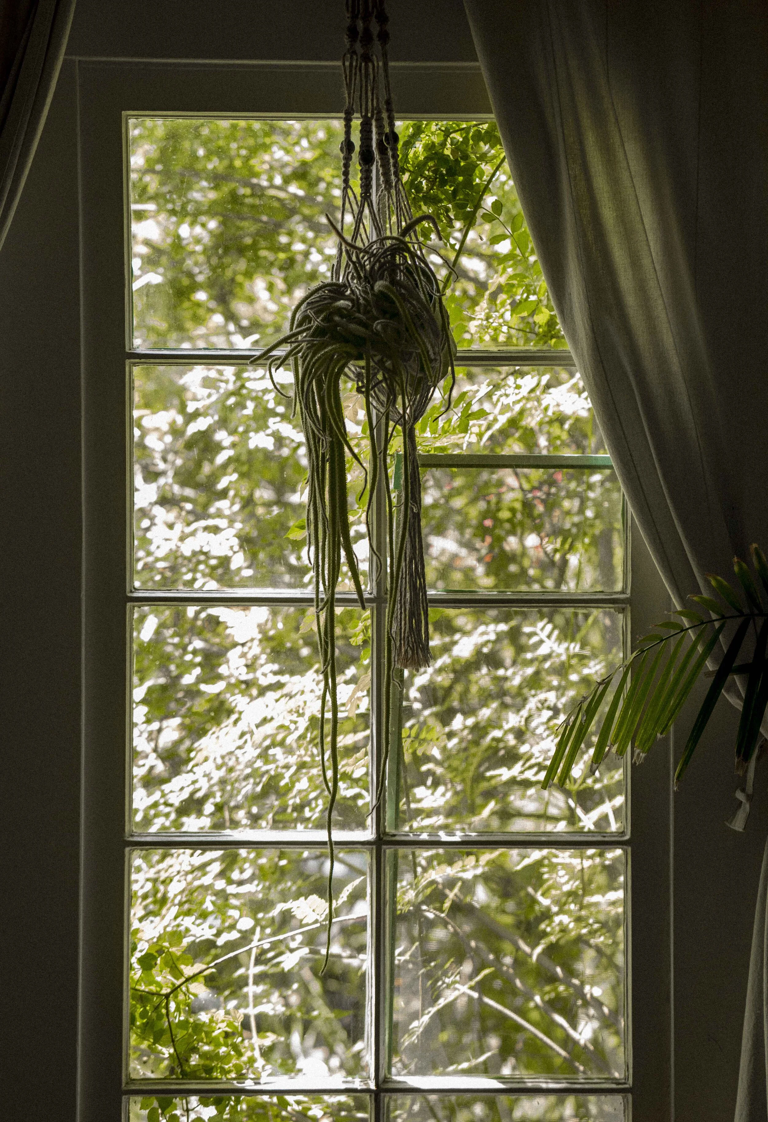 Red & Green — RektMag