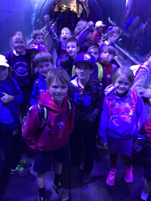 3rd Grade Field Trip Highlights | Blog